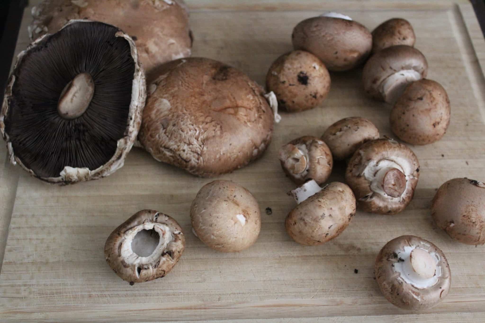 Six Reasons to Try a Blended Mushroom-Beef Burger | Rebecca Bitzer ...